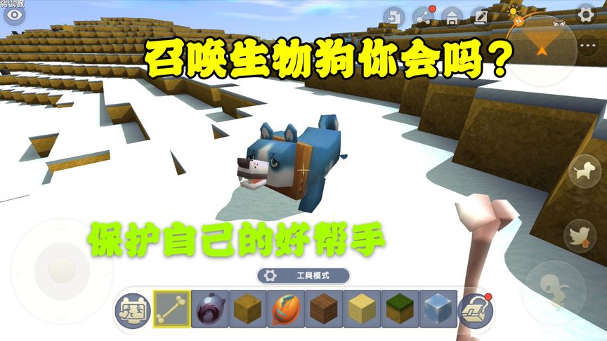 迷你世界:如何召唤生物狗?拥有它们,可随身保护自己