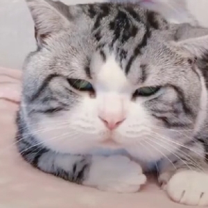 摸鱼混一天 