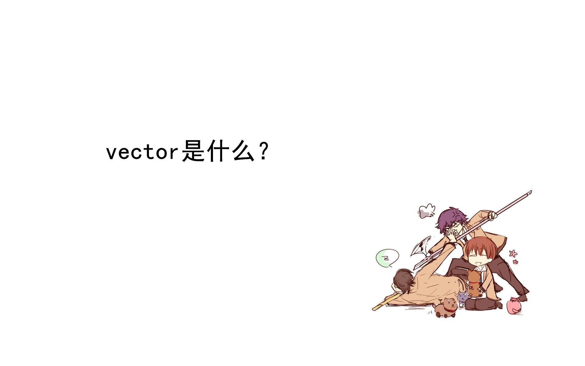 vector 是什么?