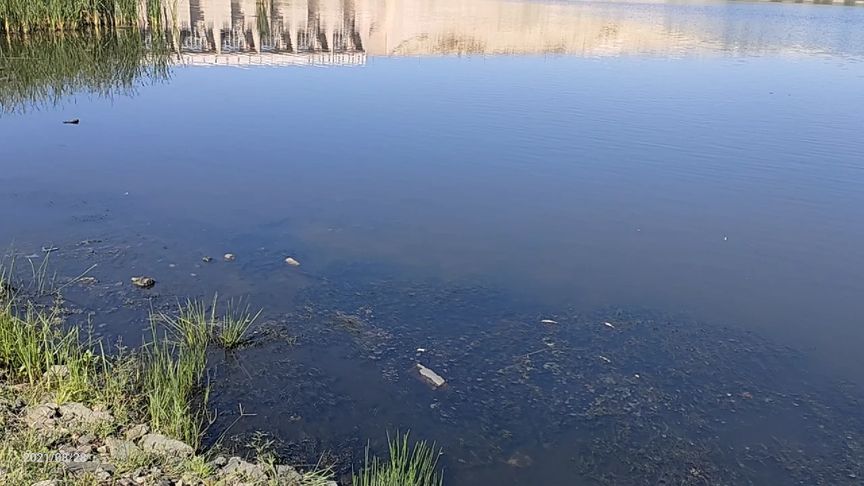 发现离水源地最近的排污口!