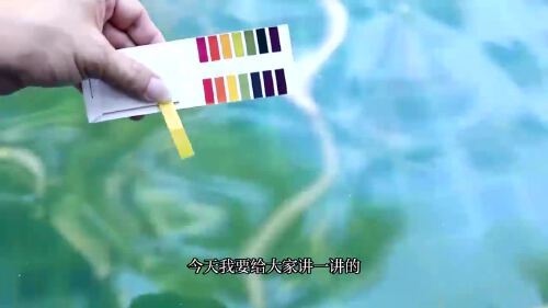 药店不说的秘密:pH试纸这样买,省钱又省心!