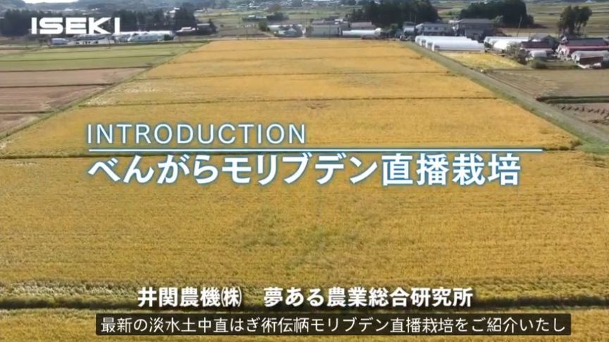 全程演示日本直播水稻栽培,采用特别的种子包衣技术避免鸟吃。