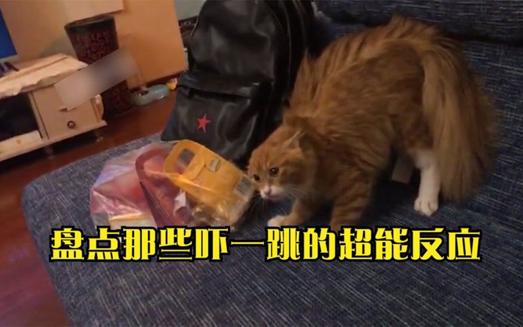 盘点那些吓一跳的超能反应,老师差点被学生送走,太搞笑了