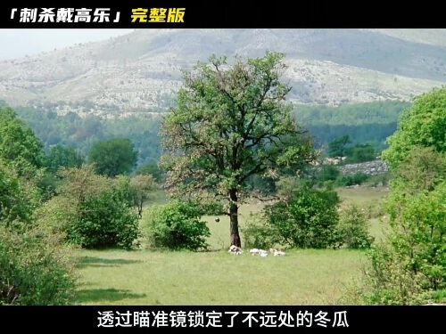从没见过这么迷你的狙击枪