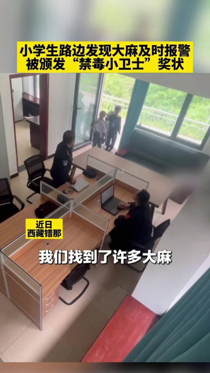 小学生路边发现大麻及时报警被颁发"禁毒小卫士"奖状#禁毒宣传