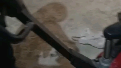 工地电动叉车维修,深圳工地电动搬运车维修