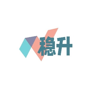 稳升电商 
