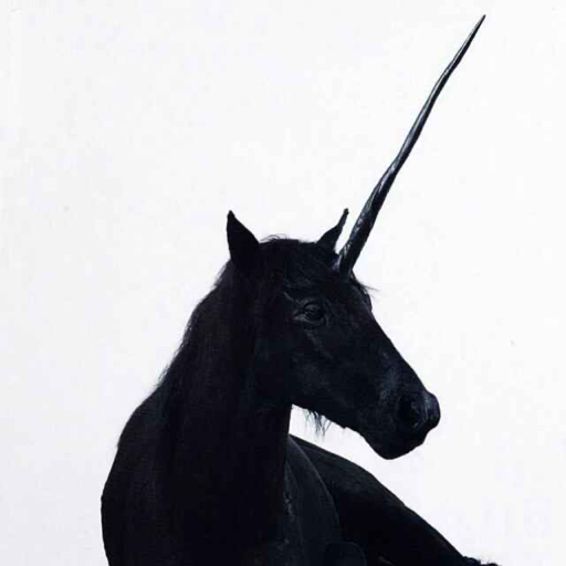 人生海海seaolife 