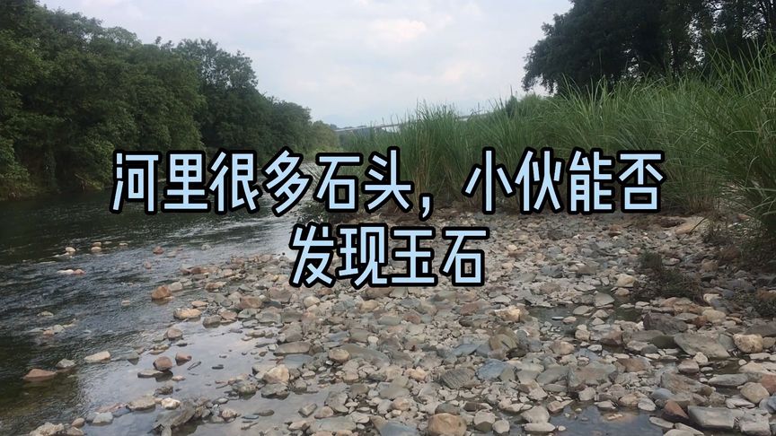 河里很多石头,小伙能否发现玉石