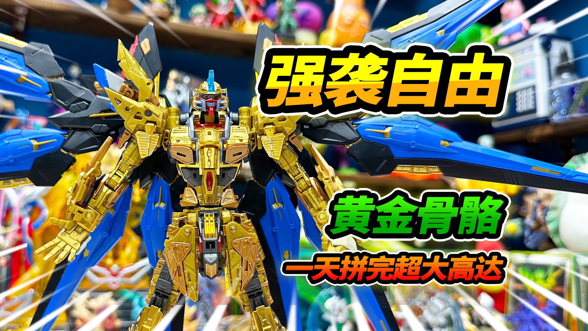 1天拼完超大高达模型,强袭自由MGEX,黄金骨骼闪闪发亮