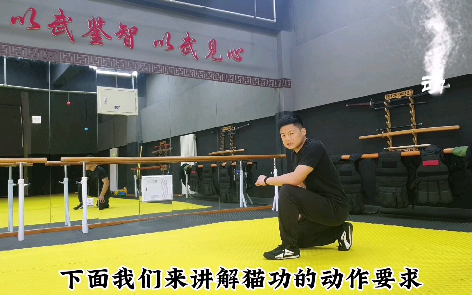 少北武术入门训练【九术功】猫功