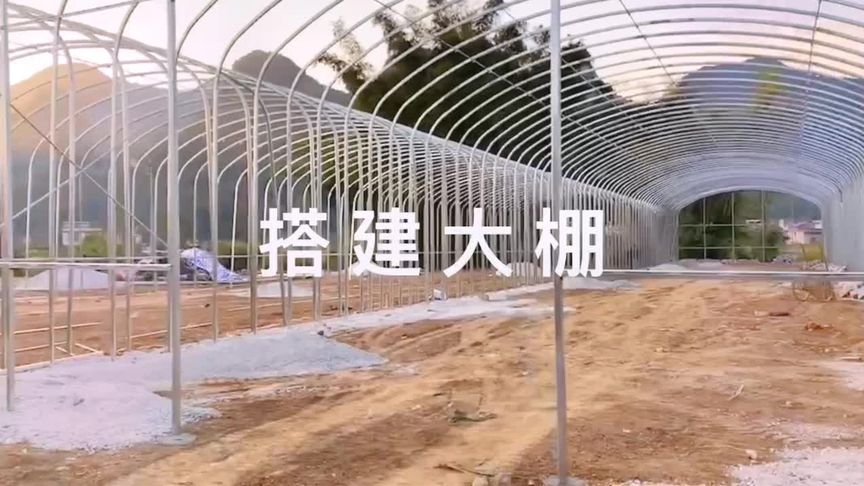 #剪出幸福年 大棚如何实现现代化养蚕,看到最后