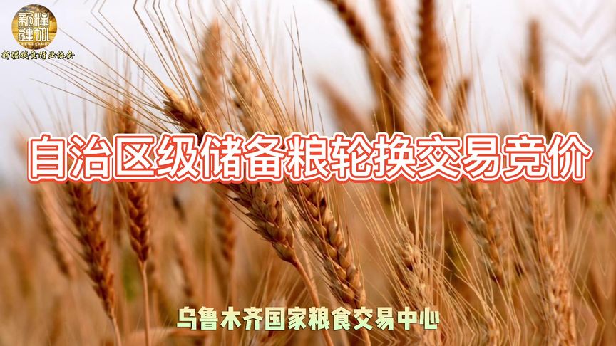 自治区级储备粮轮换交易#粮油 #价格 #新疆
