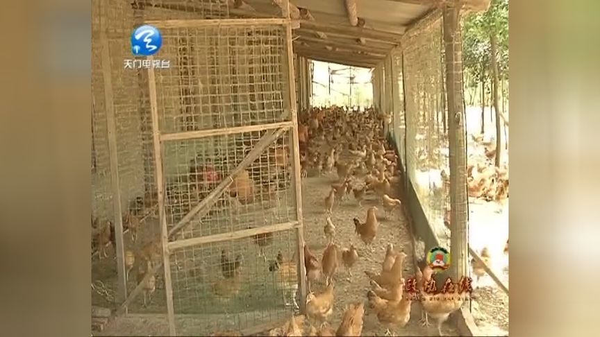 市畜牧兽医 环保局通力合作联合整治农村养殖污染