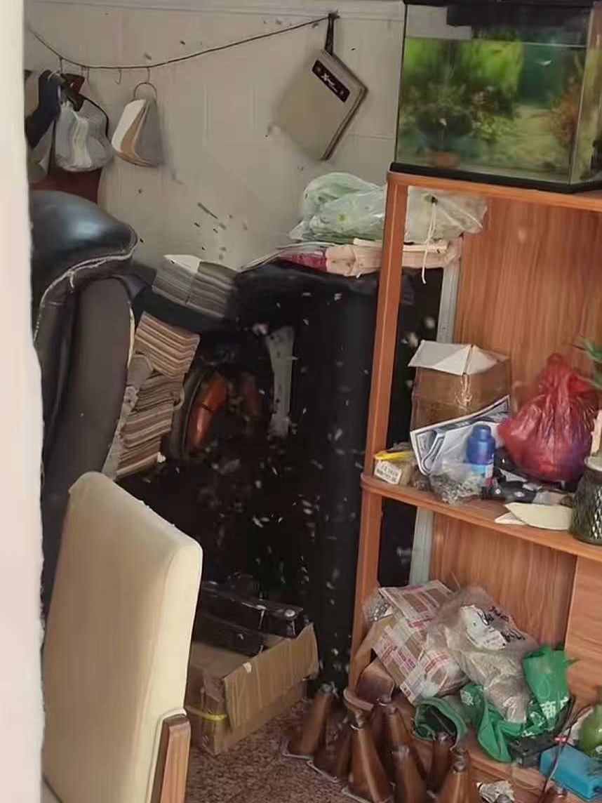 茂名一地居民区涌入大量蜜蜂,因农户喷农药引发?当地:蜜蜂或因趋光性...