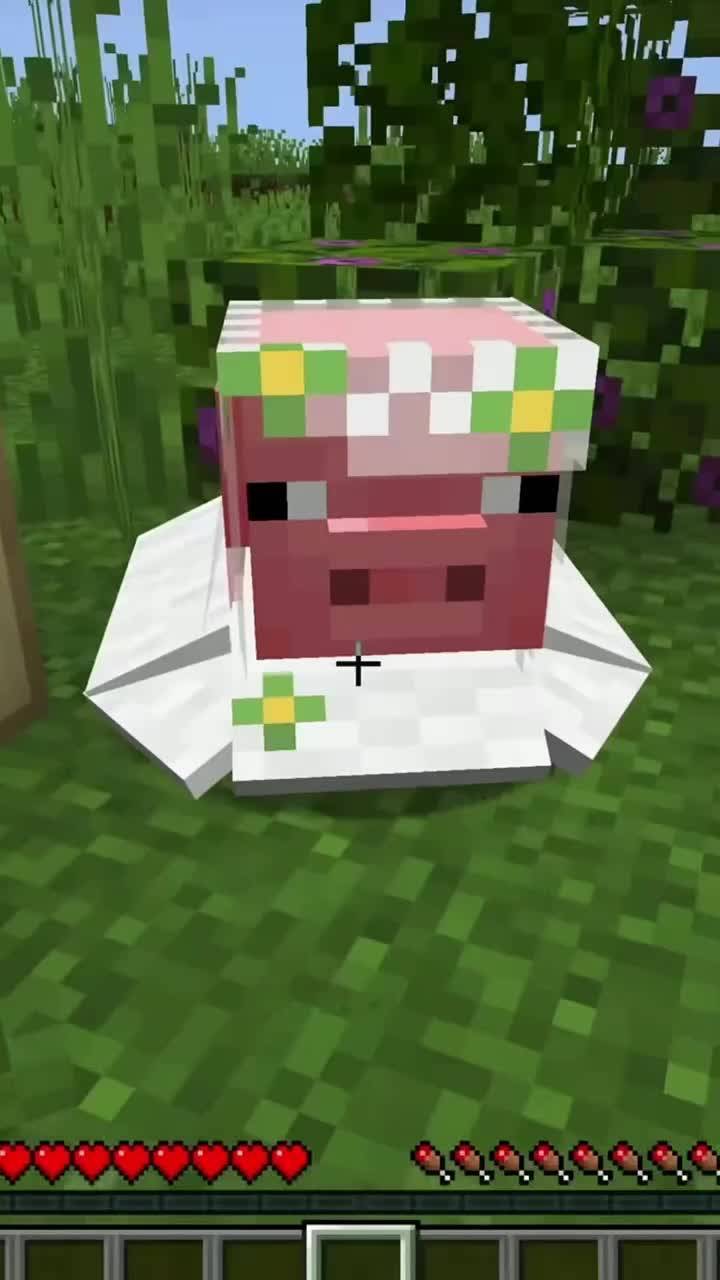 我将生孩子添加到我的世界