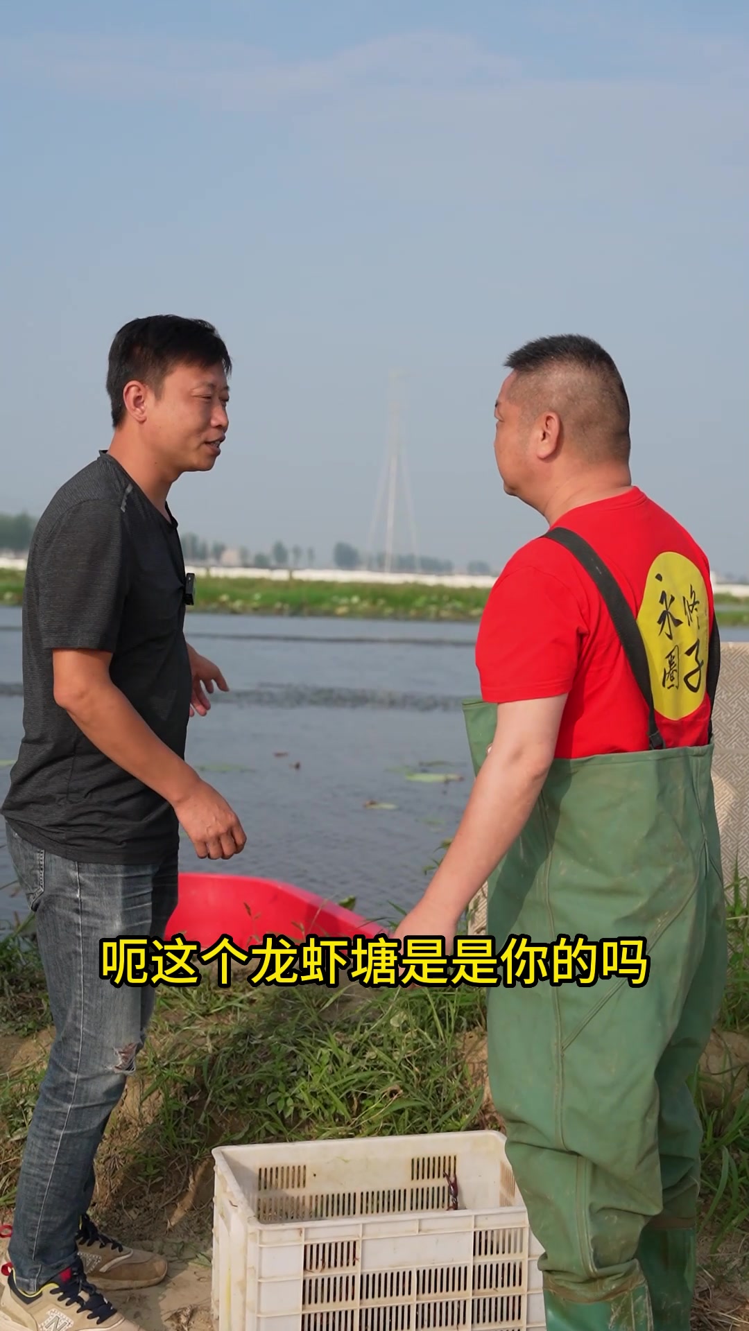 永修龙虾虾行天下#永修龙虾虾行天下 @圈子房地产信息咨询中心@米...