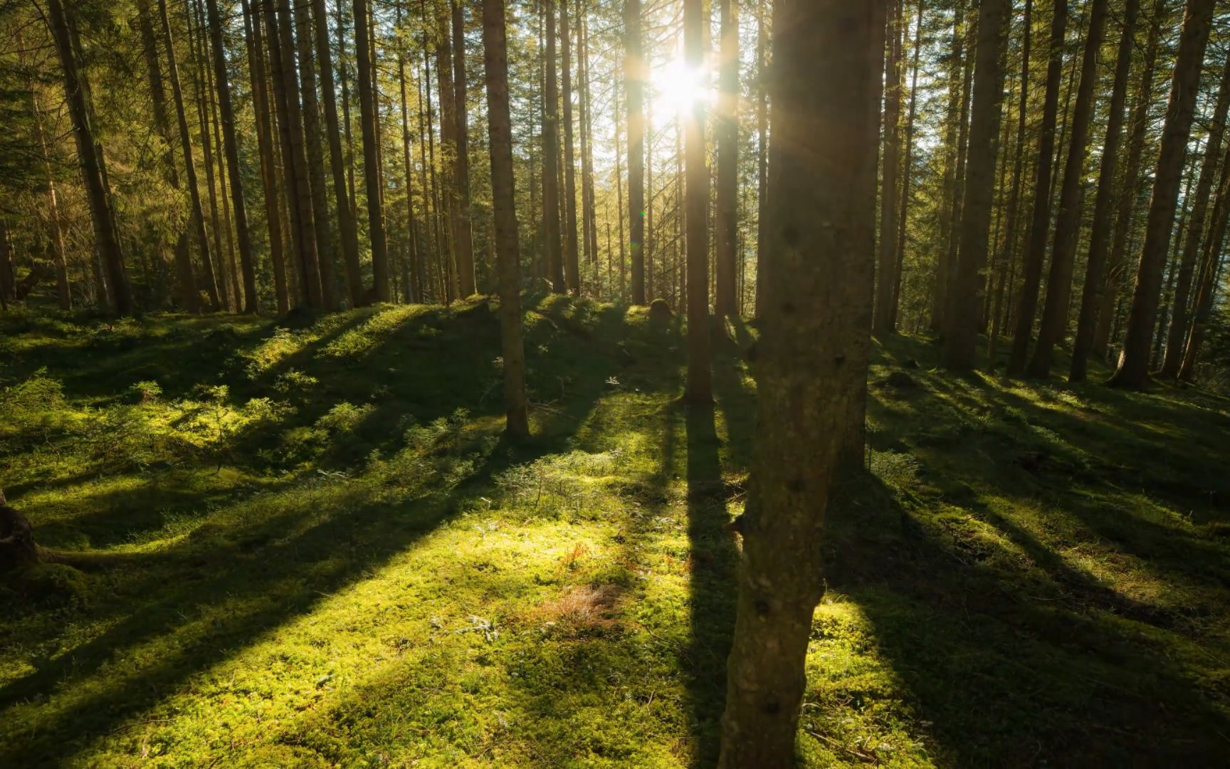 视频素材-4K大自然美景