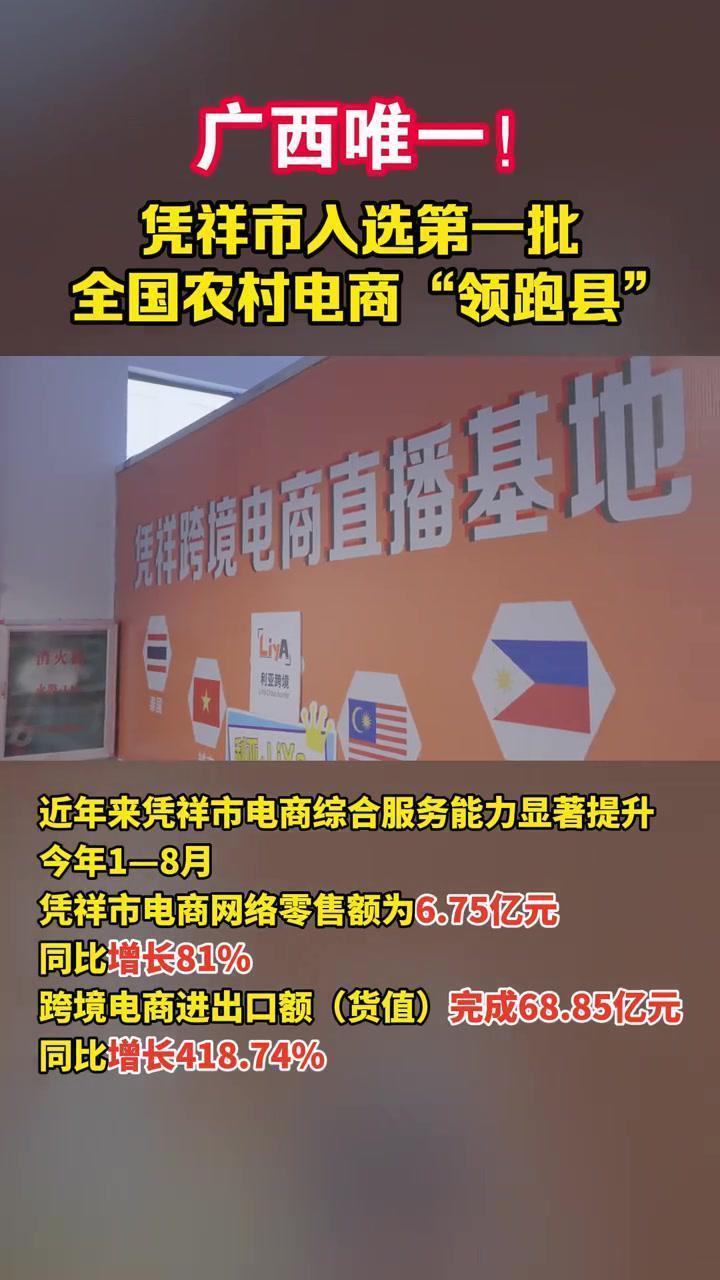 近日,凭祥市入选第一批全国农村电商"领跑县"典型案例,是广西唯一获...