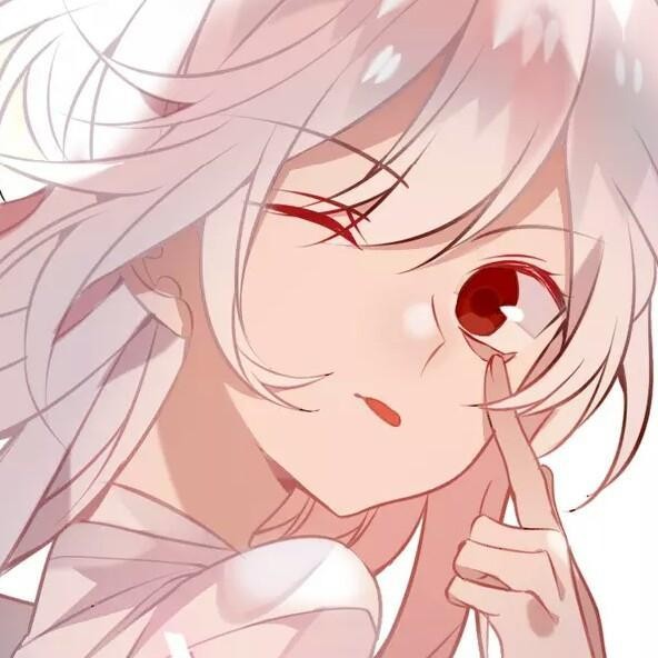 baimao白猫 