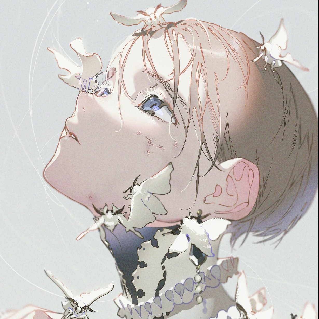 星坠的搬运家 