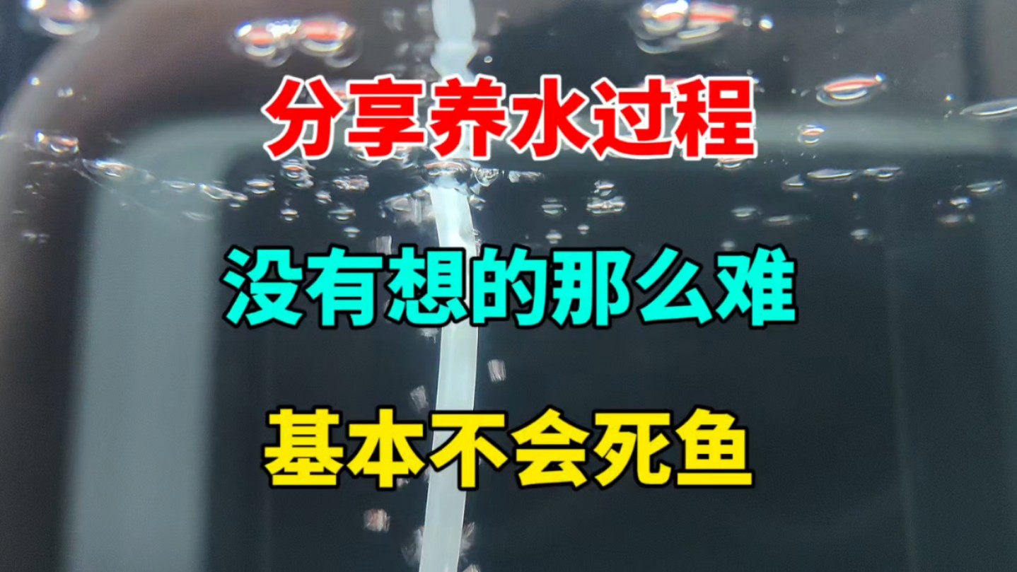 养水是个过程,培养硝化细菌,只要养好后续很少会出问题