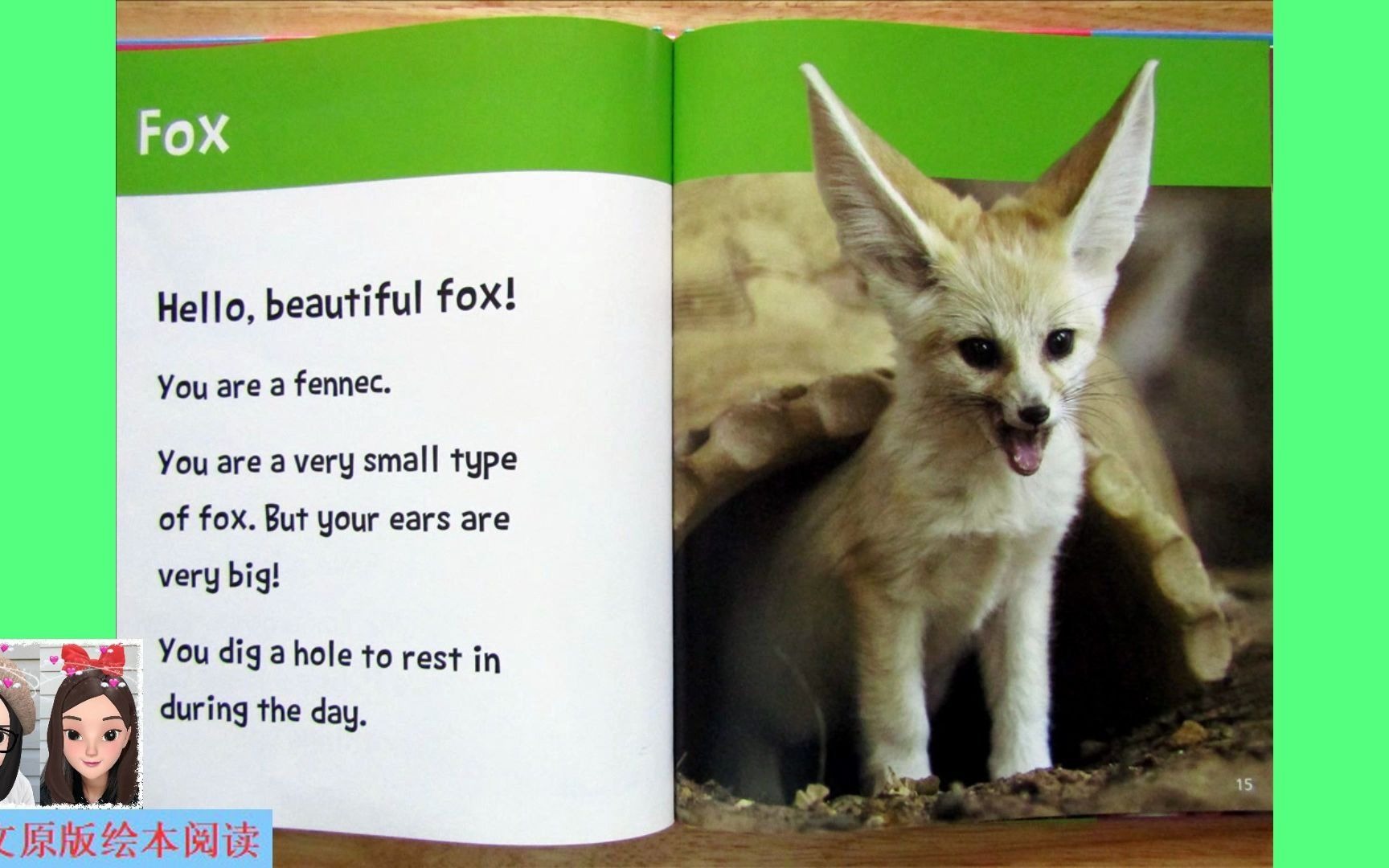 【英文绘本阅读】Hello, Beautiful! Zoo Animals: fox 《你好,美丽!动物园...