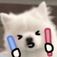 hallo小陈 