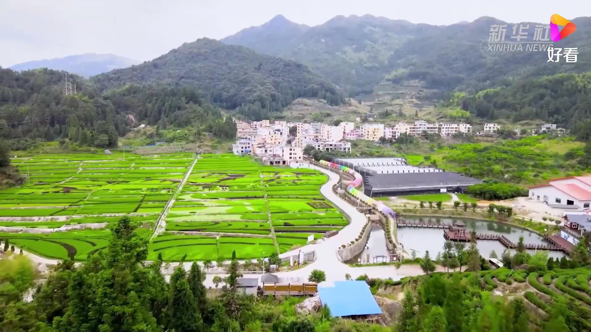 福建周宁:稻田里的美丽山村