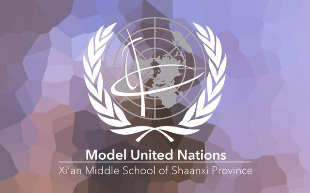 【模拟联合国】震惊,中国竟把法国怼得无话可说(生肉)