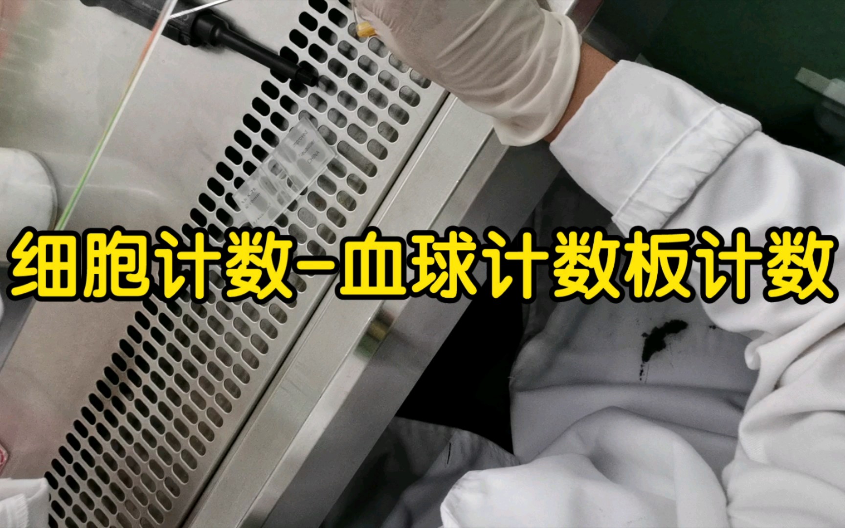 细胞计数-血球计数板计数。欢迎学习与交流!