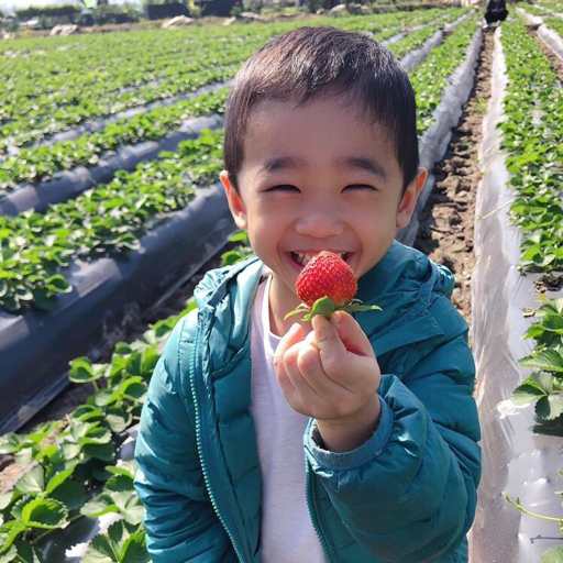 博学多才的小崽崽儿 