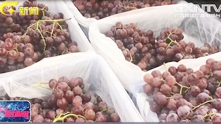 沃尔玛3批蔬果被检测出农药残留指数超标 长期食用影响身体健康