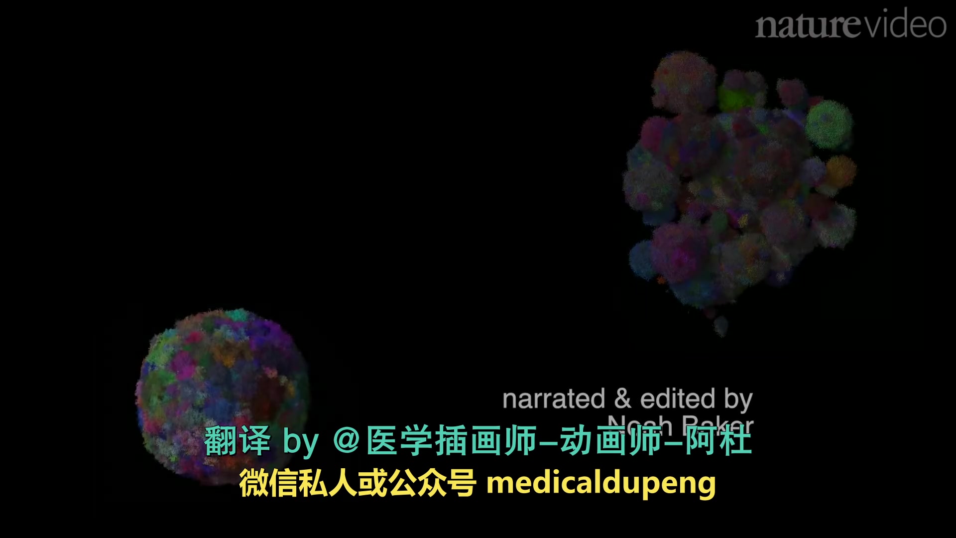 【中英文双语字幕版】计算机模拟癌症 | Nature video