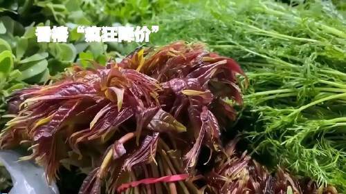 香椿价格大跳水!从百元一斤到无人问津,今年你实现香椿自由了吗?
