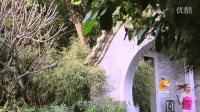 深圳市地方税务局宣传片