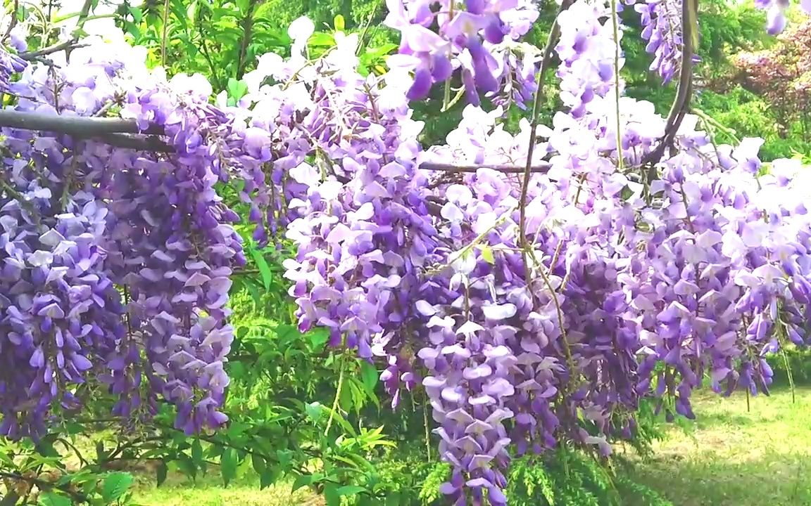 美国的切诺克直升机被一枚导弹击落,竟发现这枚导弹是自己家的