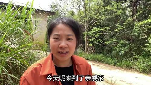 天降灵实“桂花果”,原来它的用处这么多,我也是才知道