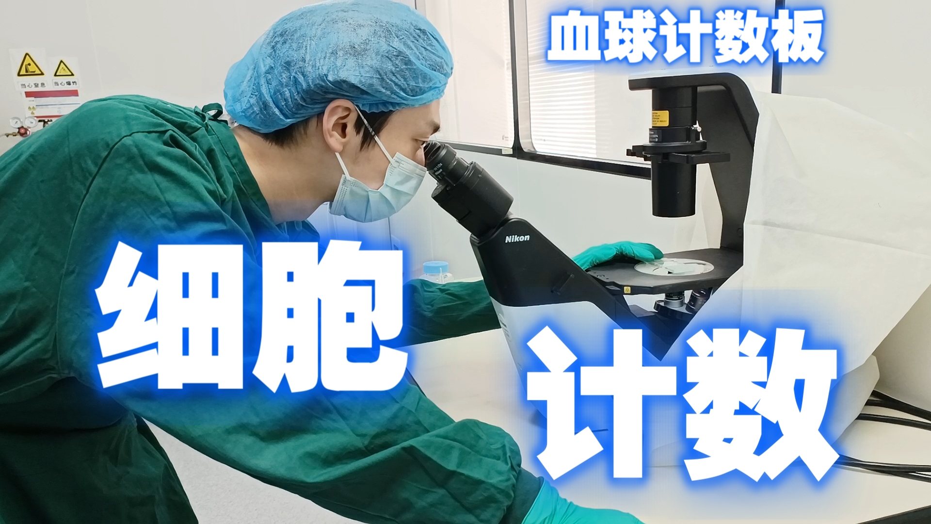 【实验室日常】细胞数的好,导师当院士!|细胞计数|细胞铺板 | 细胞生长...