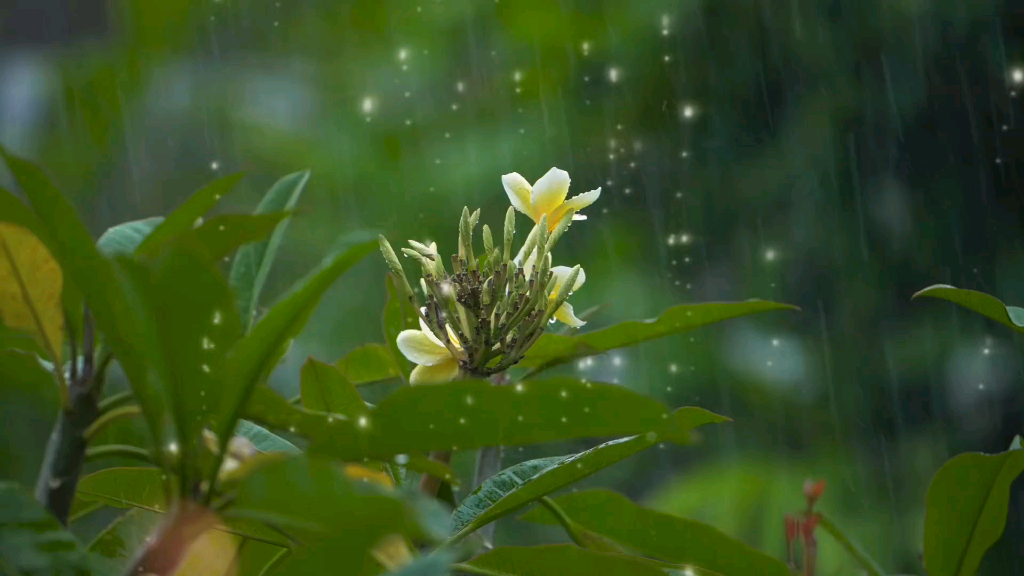 申论素材比喻典故(敢啃硬骨头,敢于涉险滩---改革要勇于冲破观念障碍...