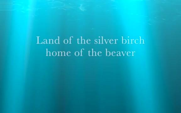 【加拿大民歌】白桦林(白桦林好地方) Land of the Silver Birch