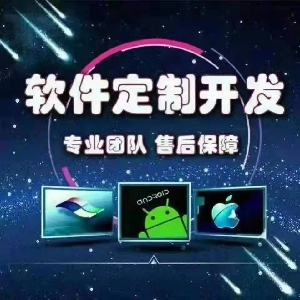 领路者科技软件辅助 