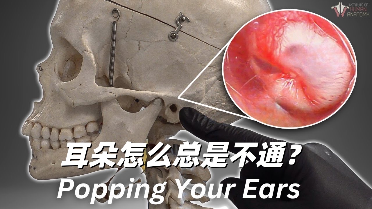 耳朵怎么都通不了?也许未必是耳朵的问题!