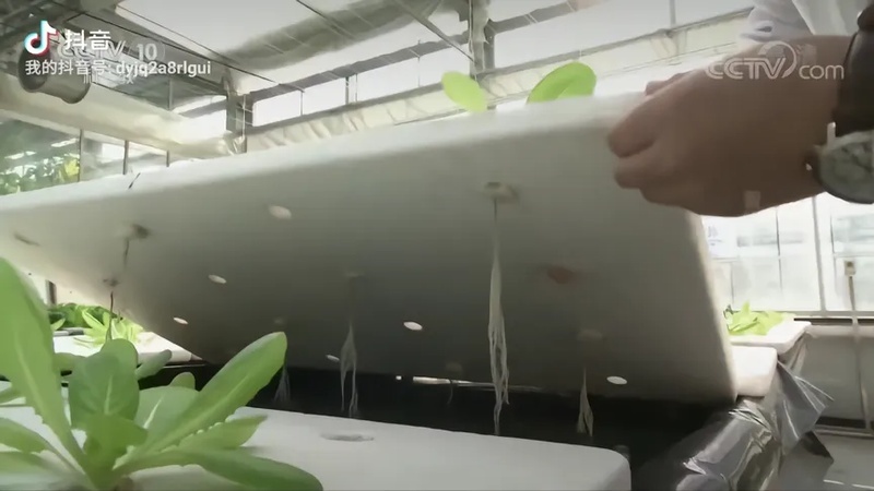 走进科学 无土栽培技术