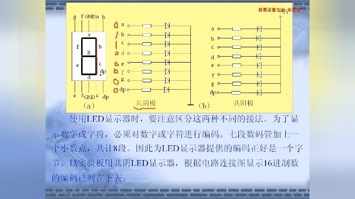十天搞定单片机,数码管编程精讲!