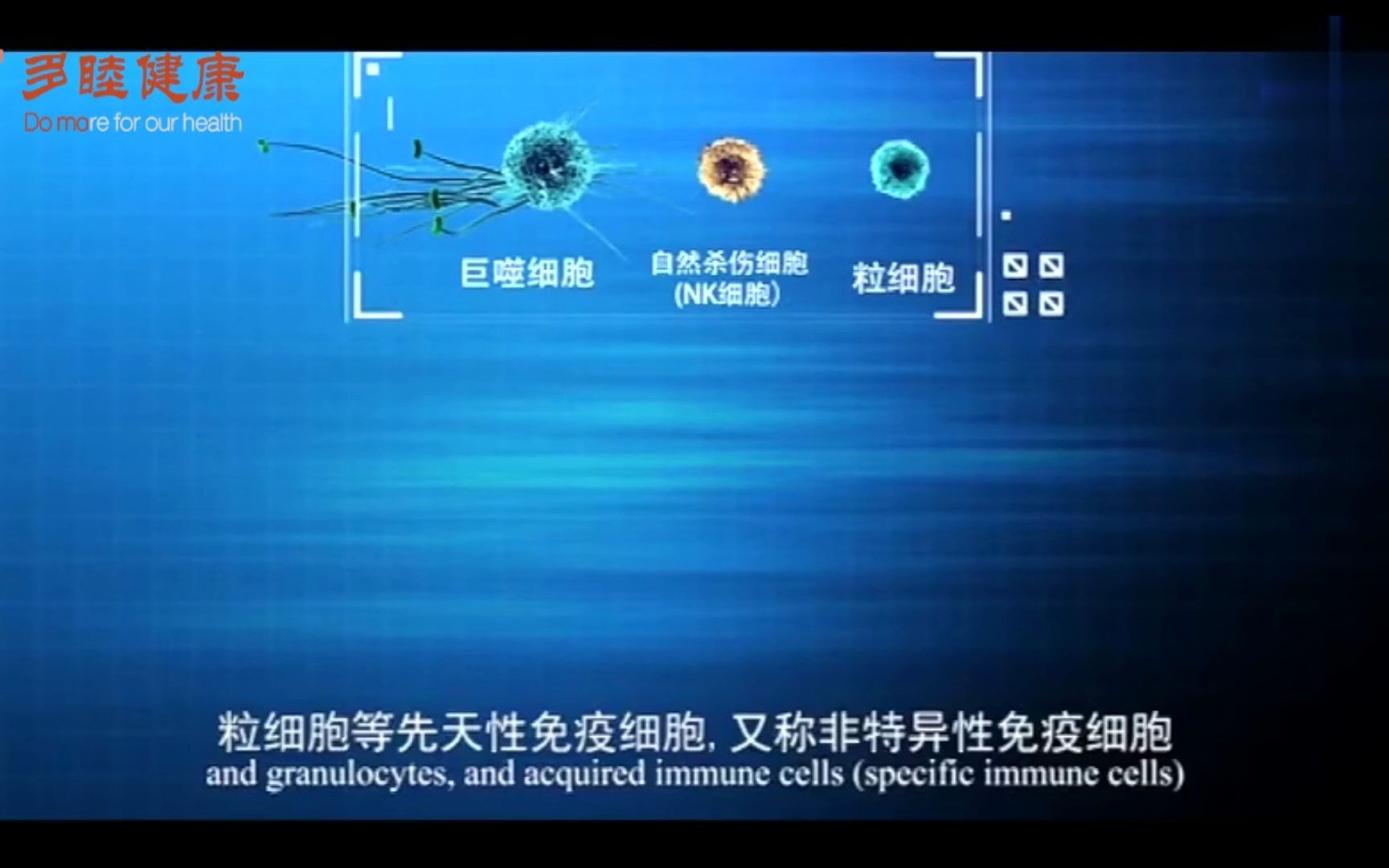 多睦健康:最详细的免疫细胞科普视频