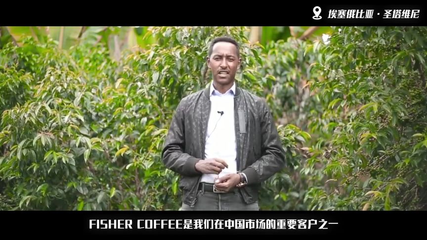 #fishercoffee #精品咖啡 #埃塞俄比亚 #咖啡豆 #咖啡