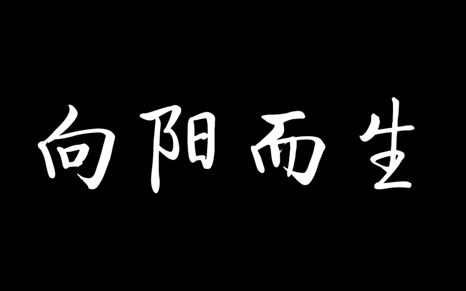 动态歌词排版【向阳而生/华晨宇】“那些黑暗笼罩的,终将向阳而生呢”