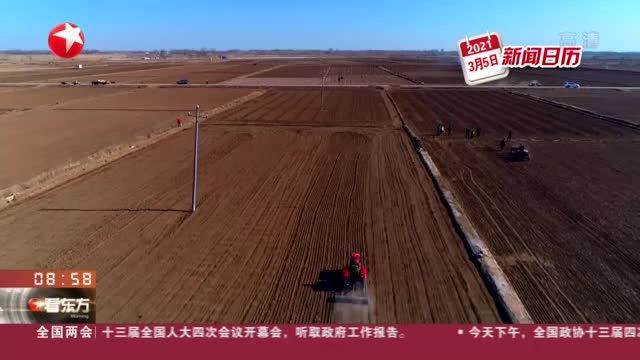惊蛰麦返青 今年全国冬小麦预计播种面积3.35亿亩