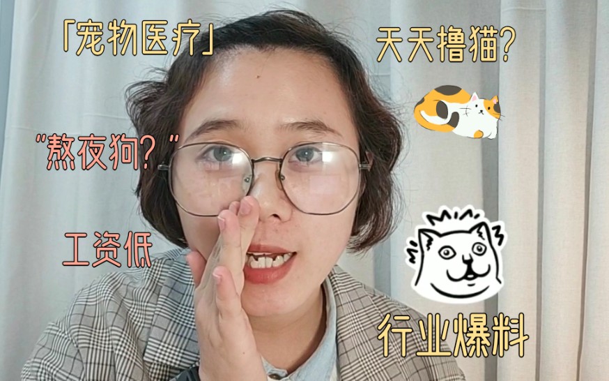 【工作选择】可天天撸猫?请你清醒一点!宠物医疗行业大型劝退现场